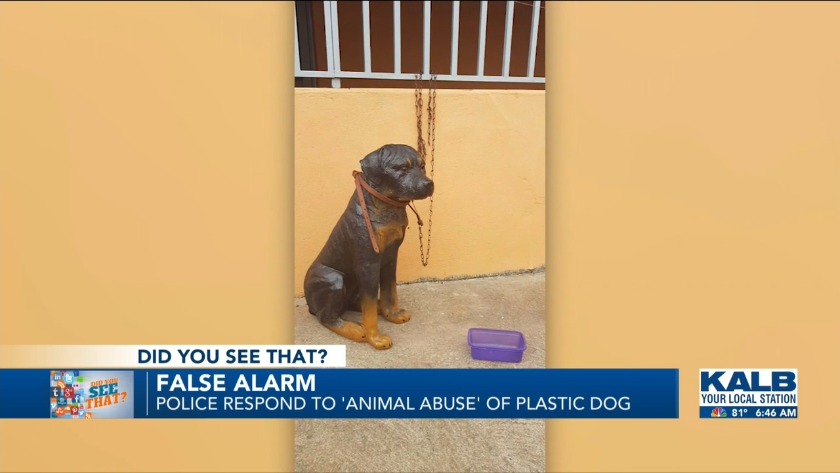 Central Louisiana News, Weather, Sports | KALB