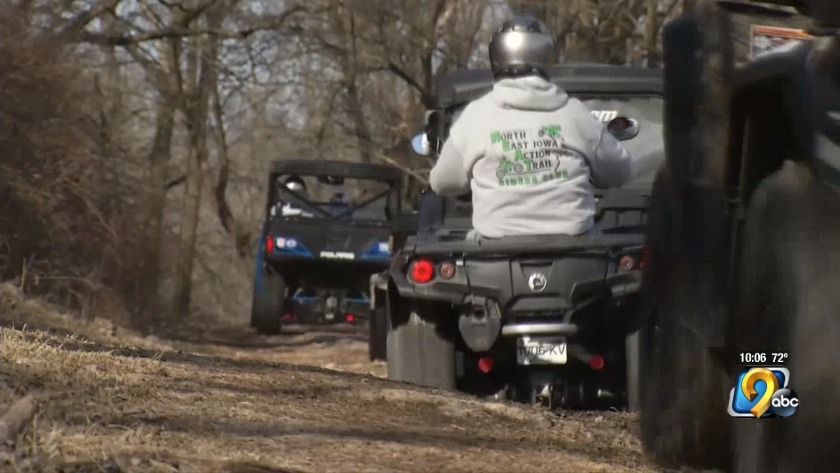 Rare male tortoiseshell cat attracts 100s wanting to adopt