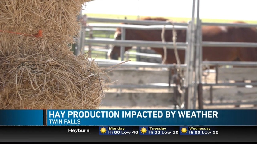 Southern Idaho News Weather Sports Obits | KMVT | Magic Valley