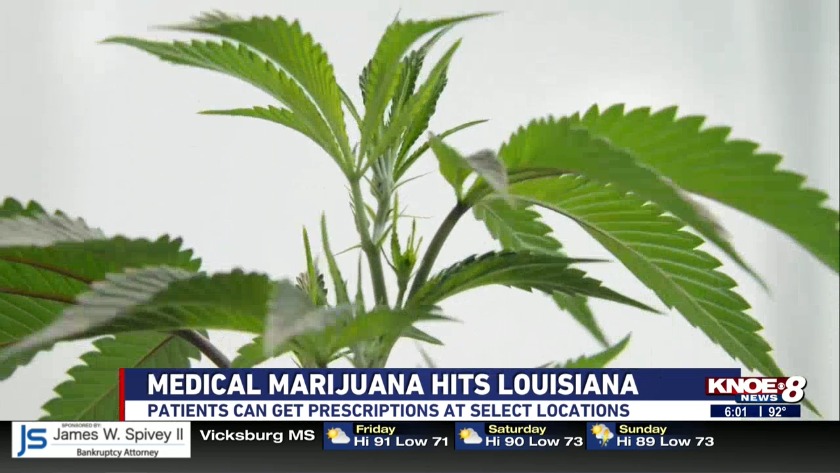 Ruston High will soon have a new school logo