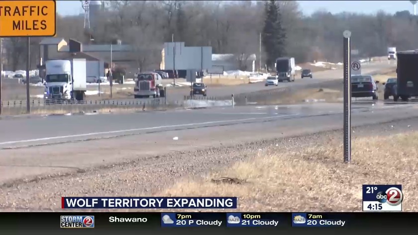 Wolves expand their territory in Wisconsin