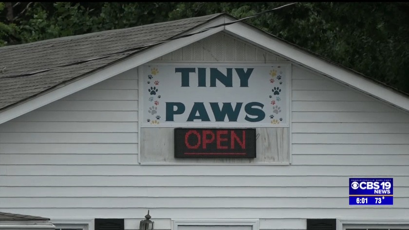 Charlottesville, Virginia News, Weather, Sports | CBS19