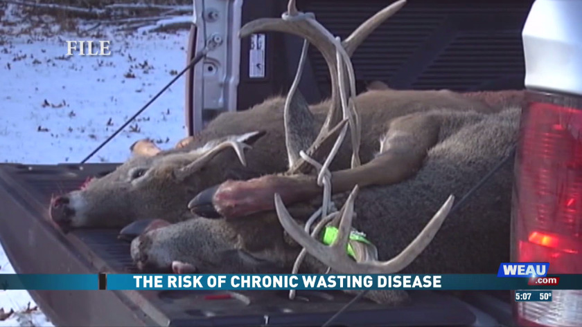 Is CWD a risk to humans? Health officials weigh in