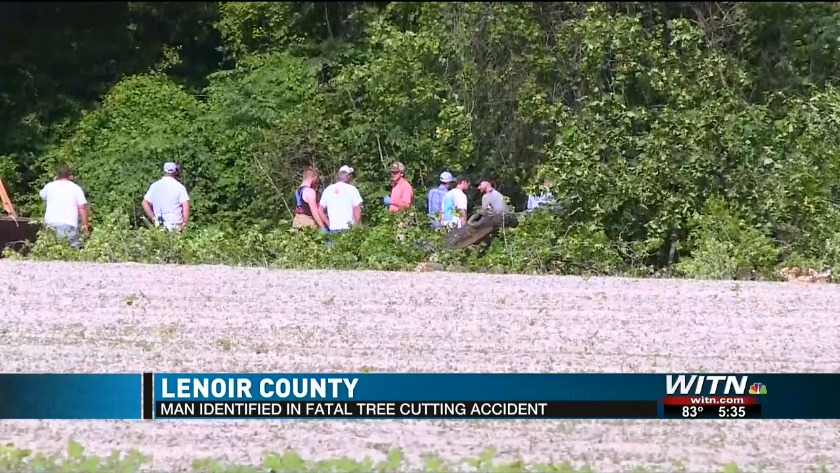 FIRST ON WITN: Victim identified in fatal tree cutting accident