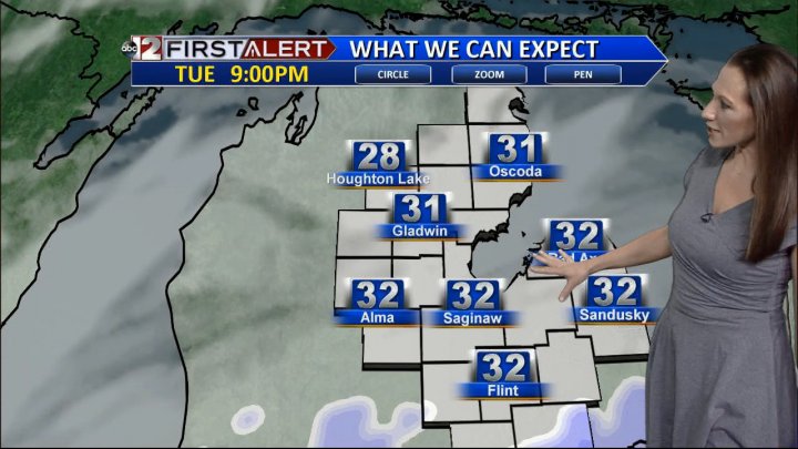 ABC12 WJRT | Flint, Michigan | News, Weather, Sports | ABC12 - Video