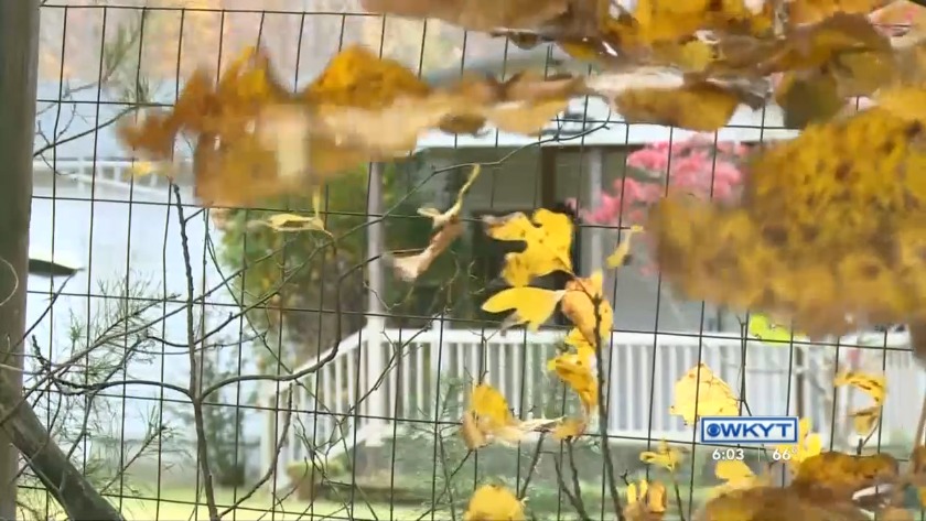 Pulaski County Victim Identified Person In Custody In Murder Investigation