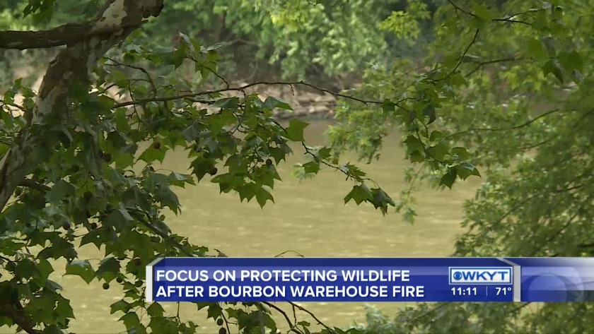 Jim Beam warehouse fire to likely have 'serious impact' on Kentucky River aquatic life