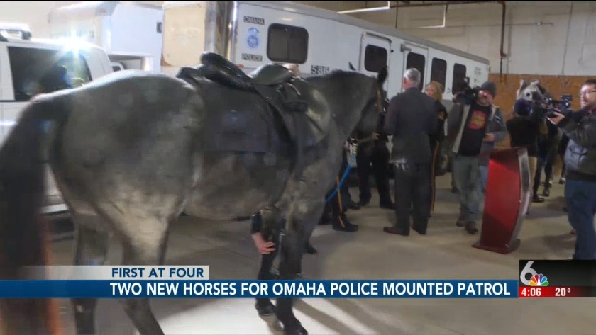 OPD Mounted Patrol Unit introduces two new horses